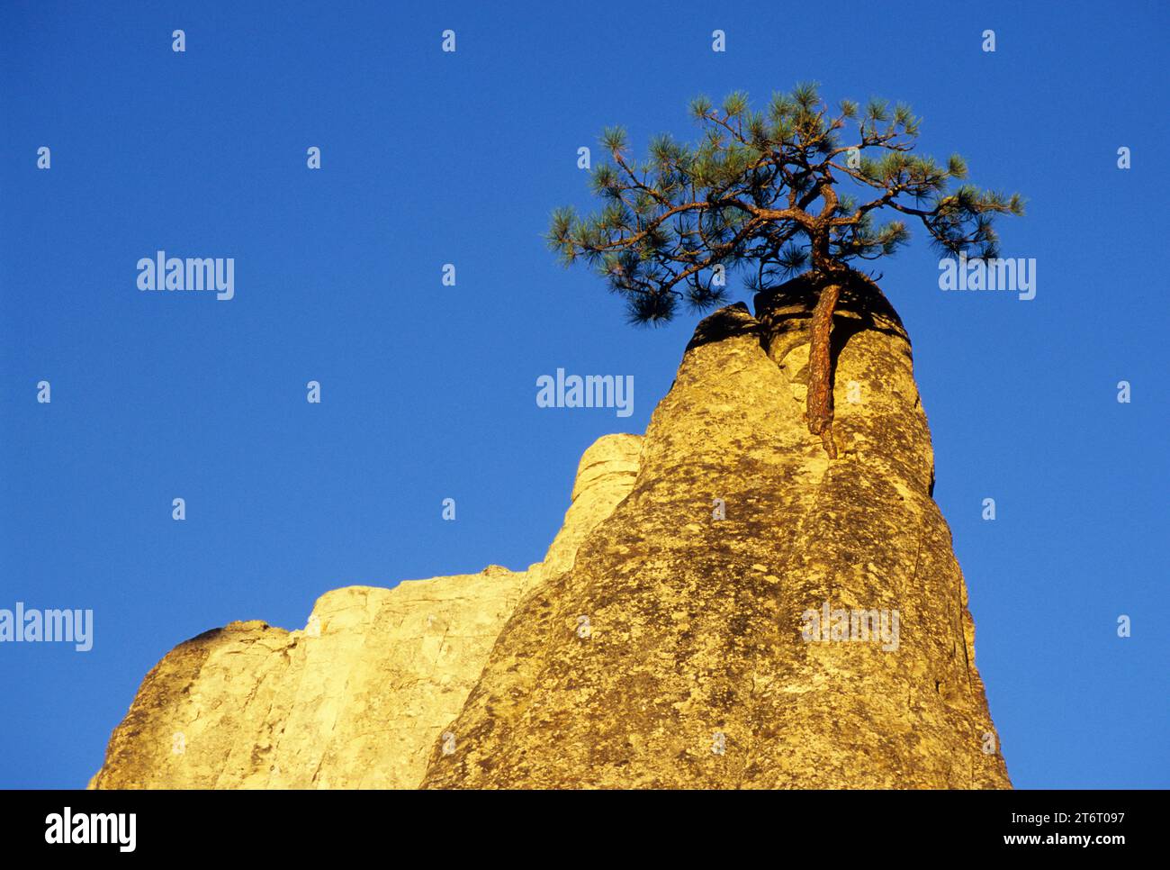 Outcrop cliff with pine, Peshastin Pinnacles State Park, Washington ...