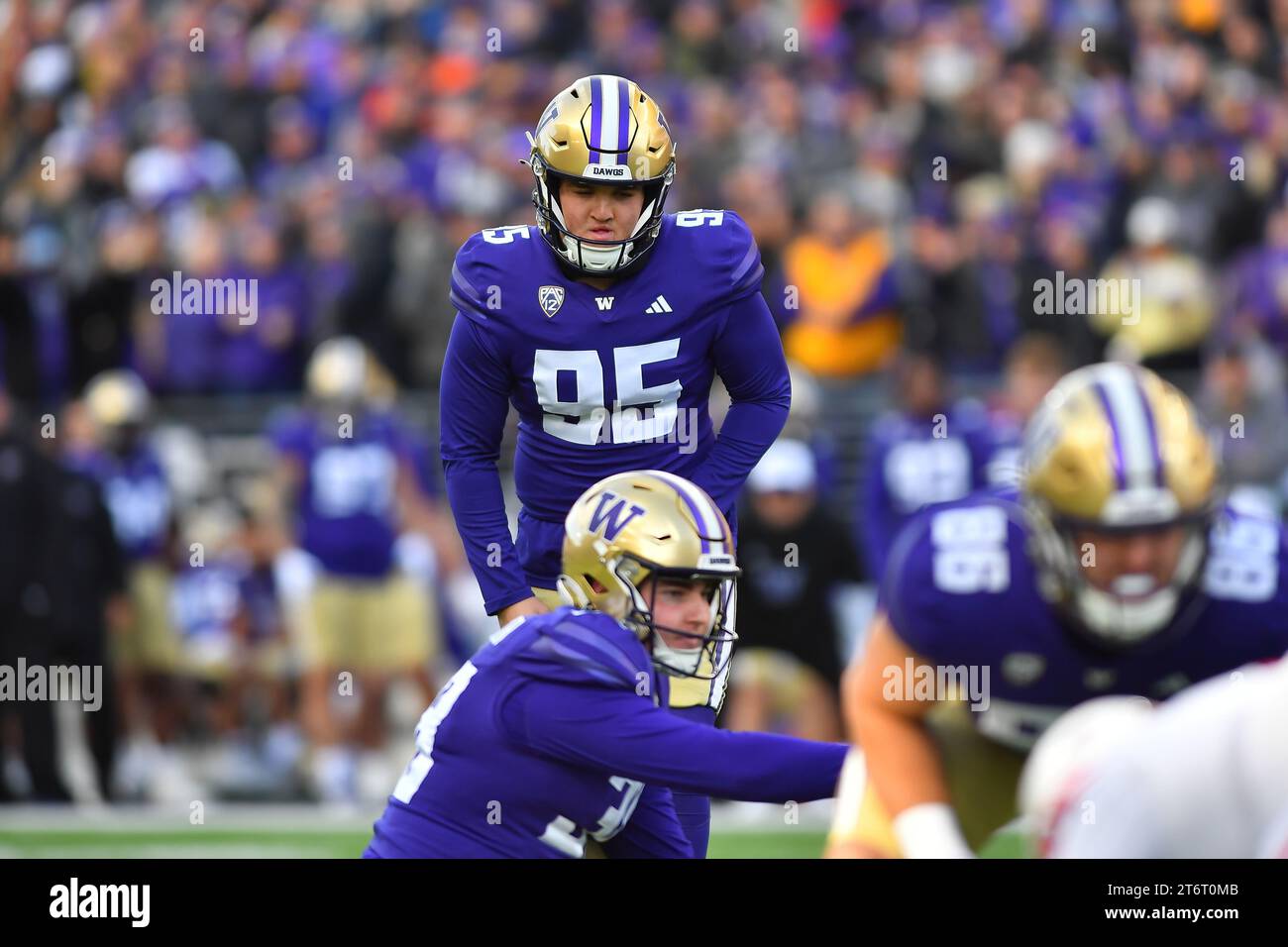 November 11, 2023: Washington Huskies place kicker Grady Gross (95 ...
