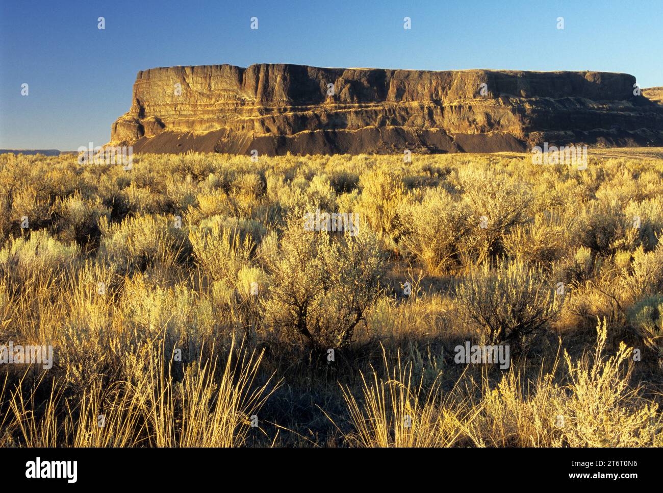 Steamboat Rock, Steamboat Rock State Park, Washington Stock Photo - Alamy