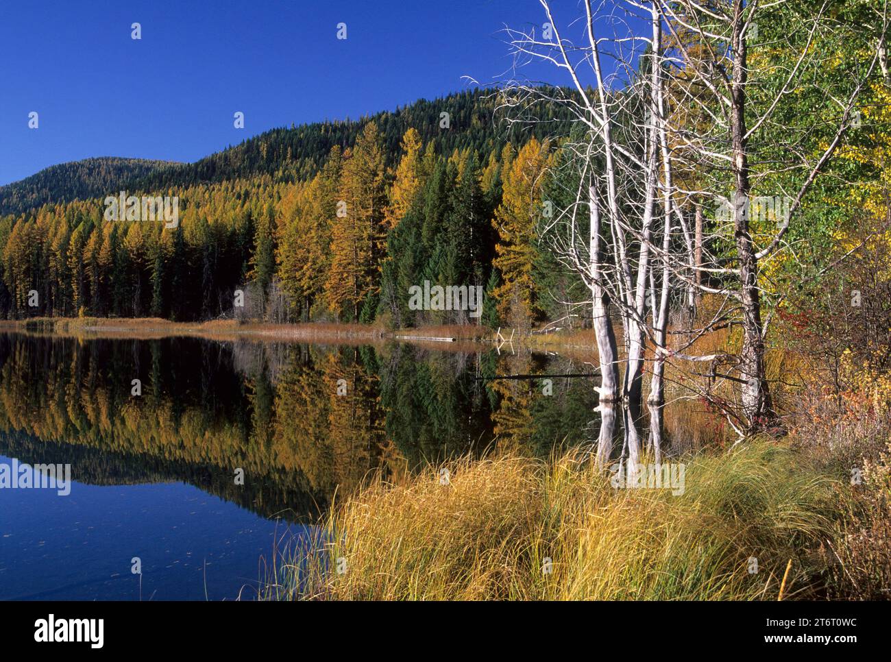 Lost Lake, Okanogan National Forest, Washington Stock Photo - Alamy