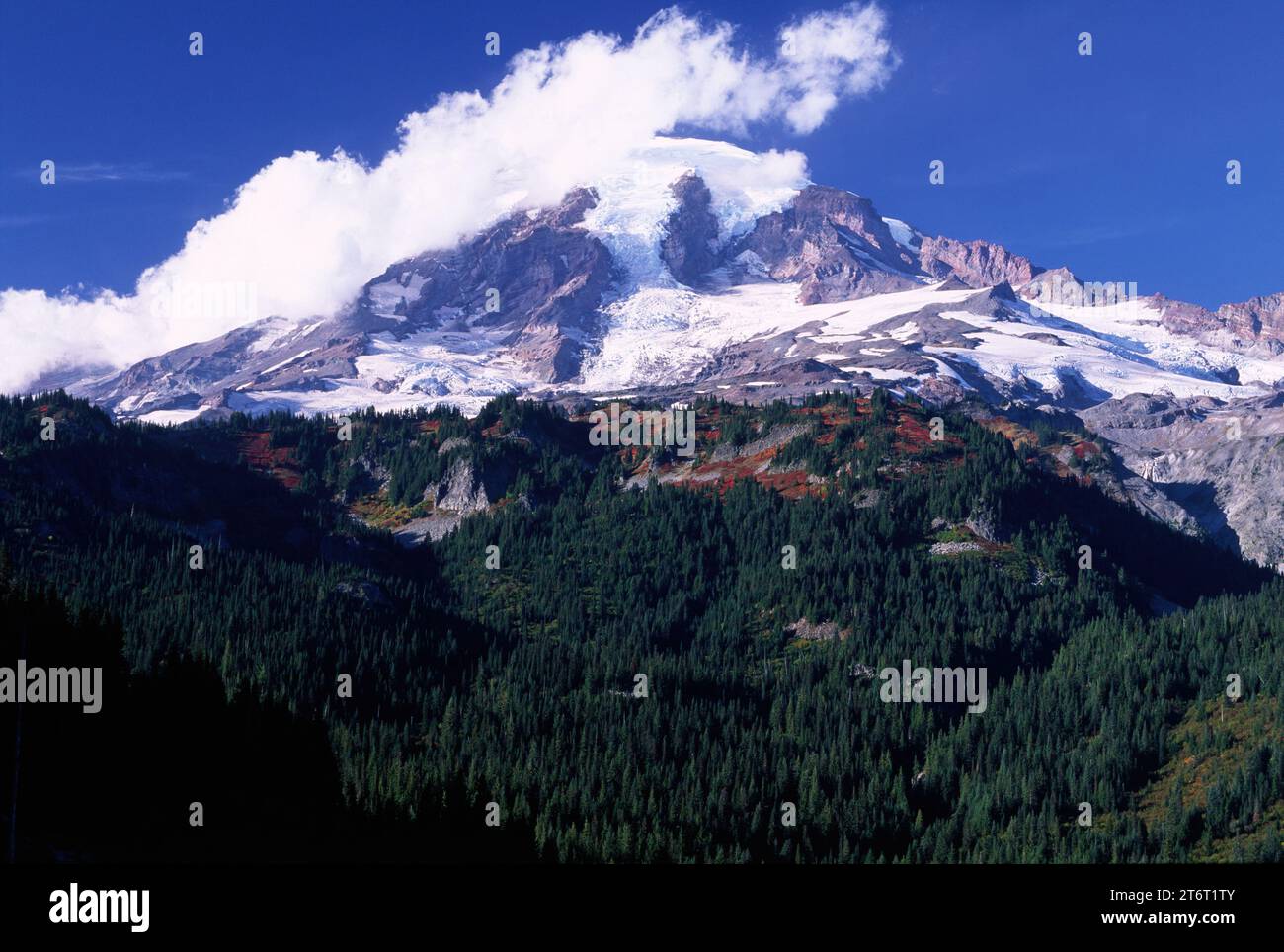 Mt Rainier from Stevens Canyon, Mt Rainier National Park, Washington ...