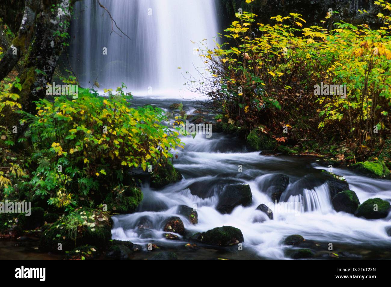 Gifford Pinchot National Forest Headquarters at Linda Siddiqui blog