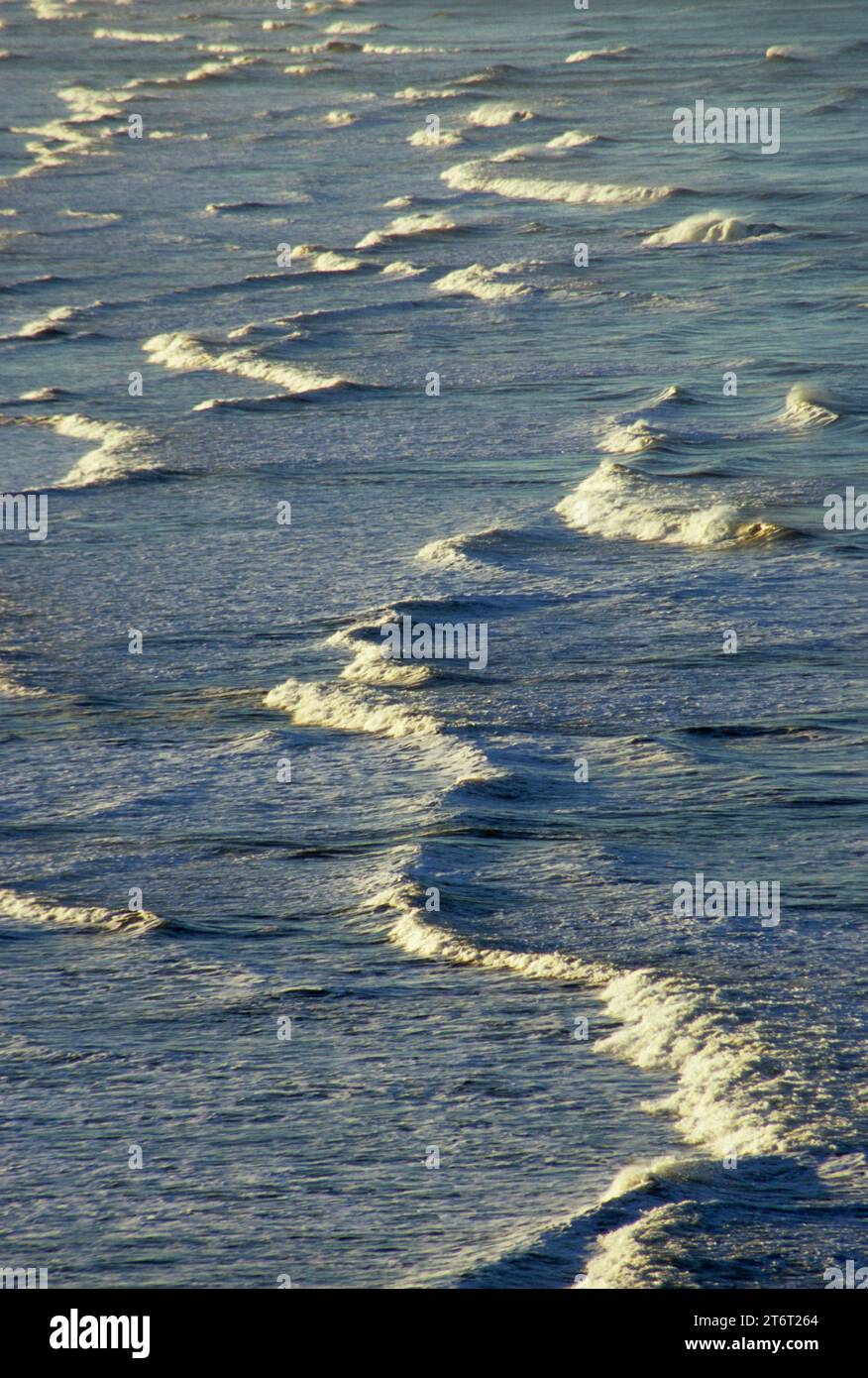Benson Beach surf from North Head, Cape Disappointment State Park ...