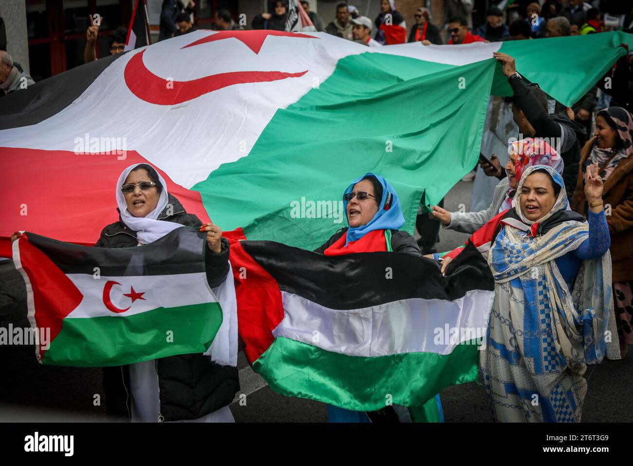 Palestine and western sahara hi-res stock photography and images - Alamy