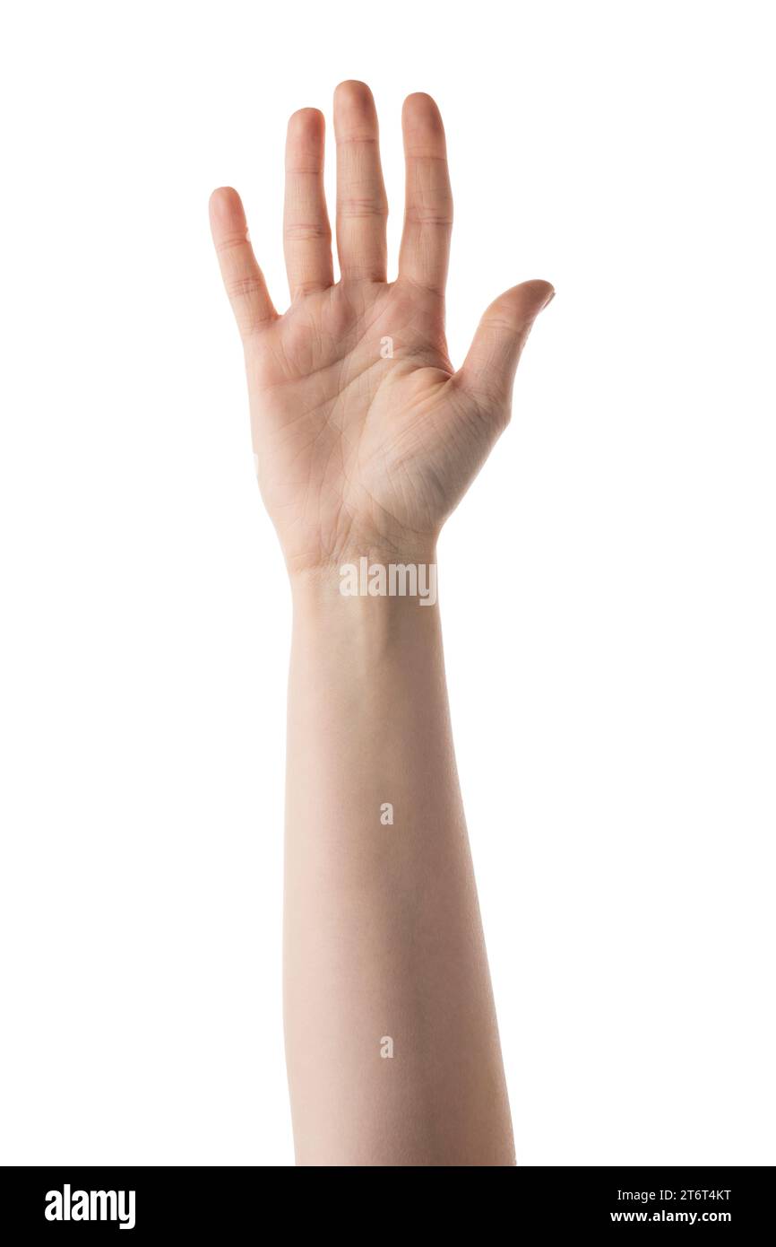 Young female hand inner side view straight isolated on white background ...