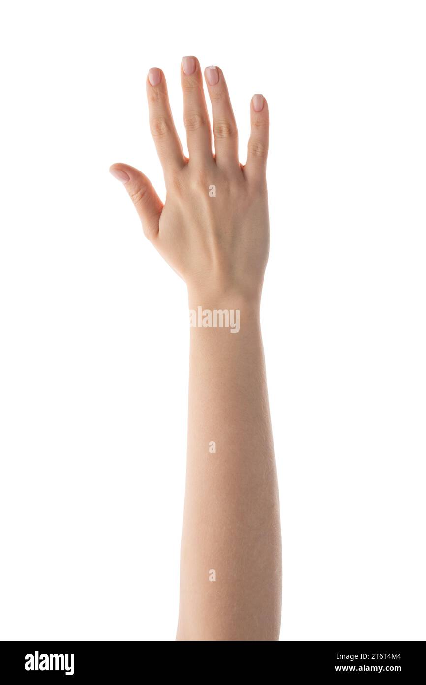 Young female hand outside view straight isolated on white background ...