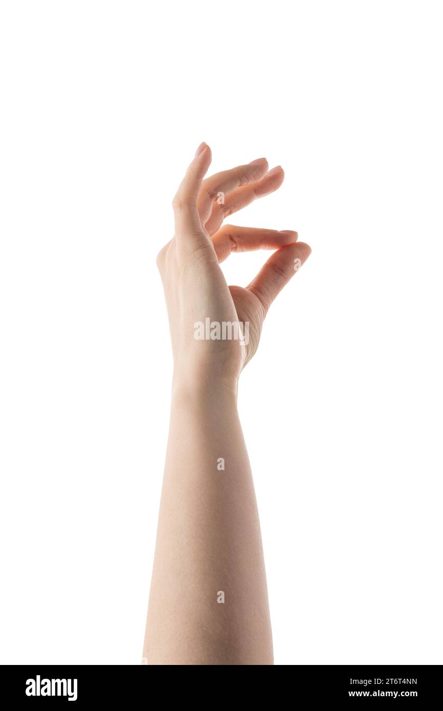 Young female right hand hold something medium sized isolated on white ...