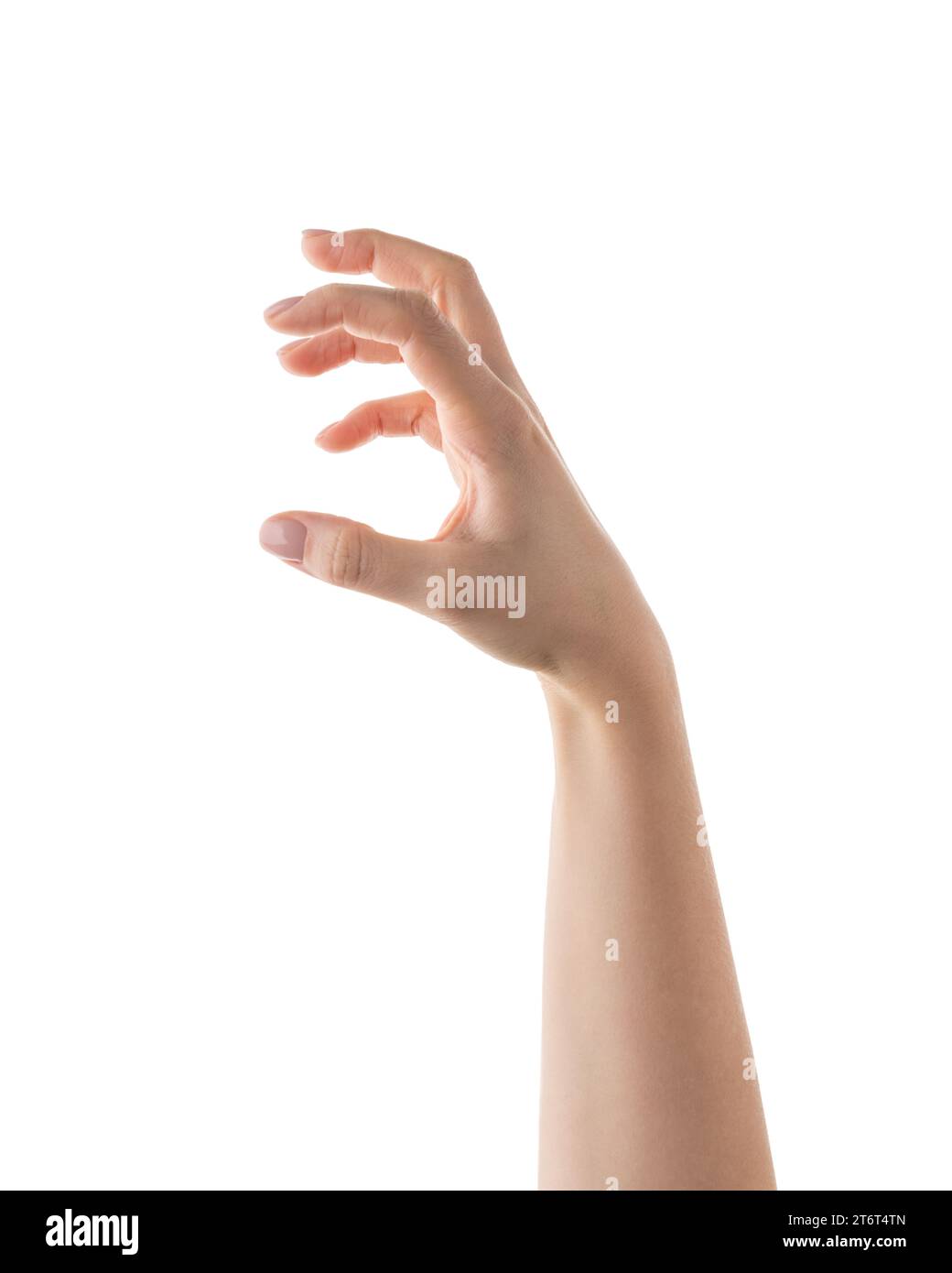 Young female right hand hold something big isolated on white background Stock Photo - Alamy