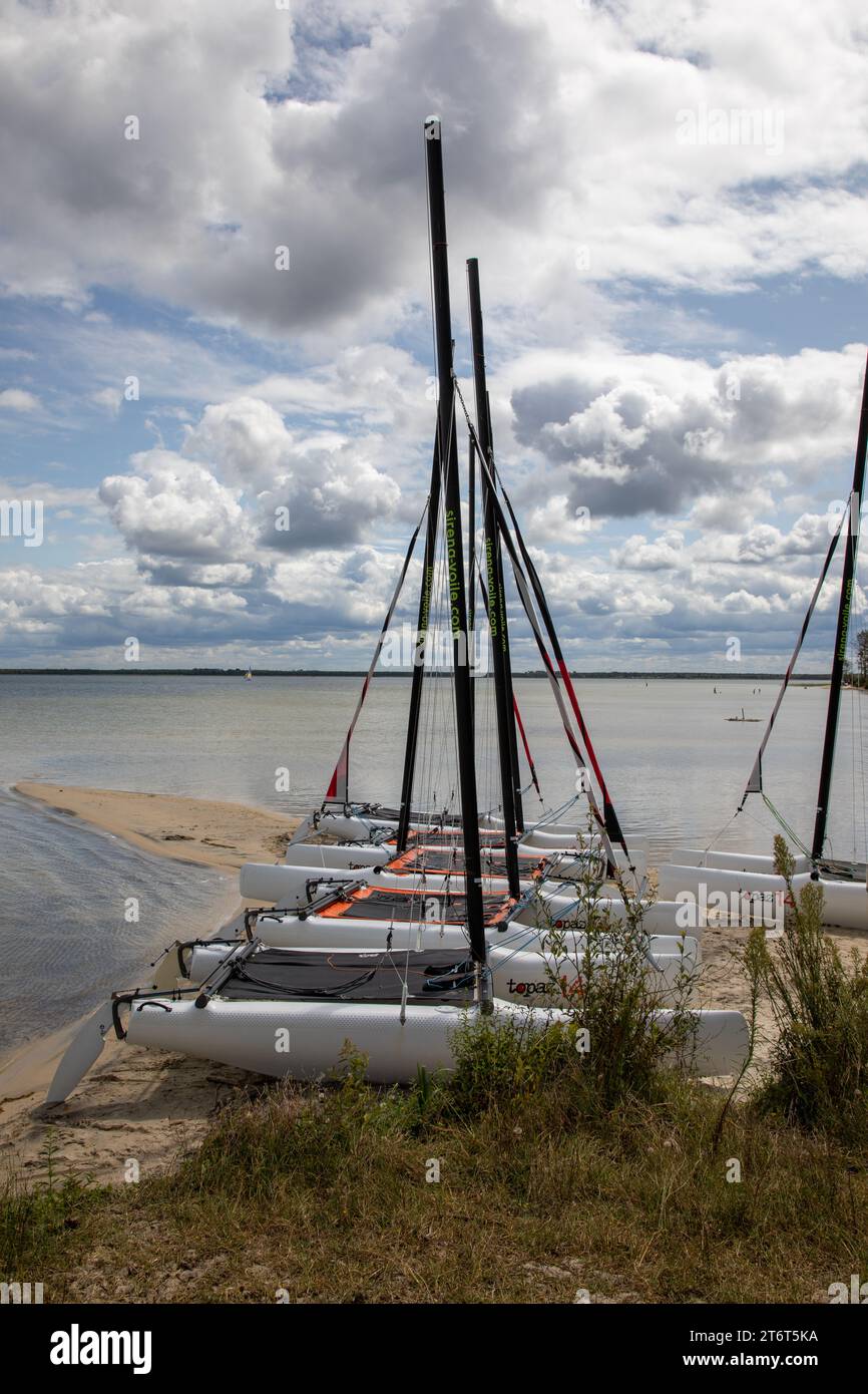 High performance cat hi-res stock photography and images - Alamy