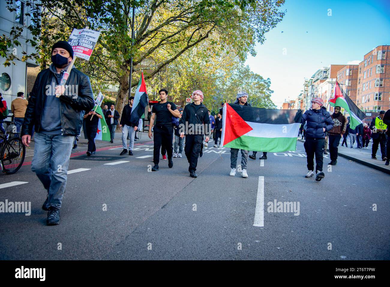 A protestor marches with a large Palestinian flag during the National ...