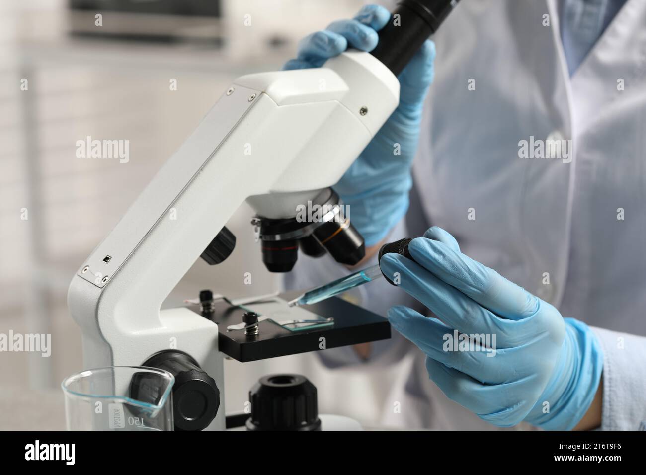 Scientist working with microscope in laboratory, closeup Stock Photo ...