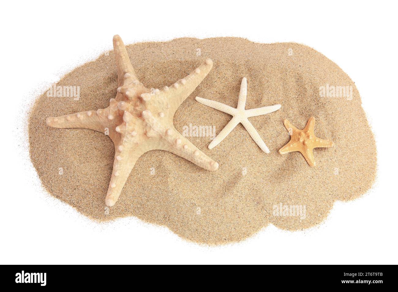 Beautiful summer view coast Cut Out Stock Images & Pictures - Alamy