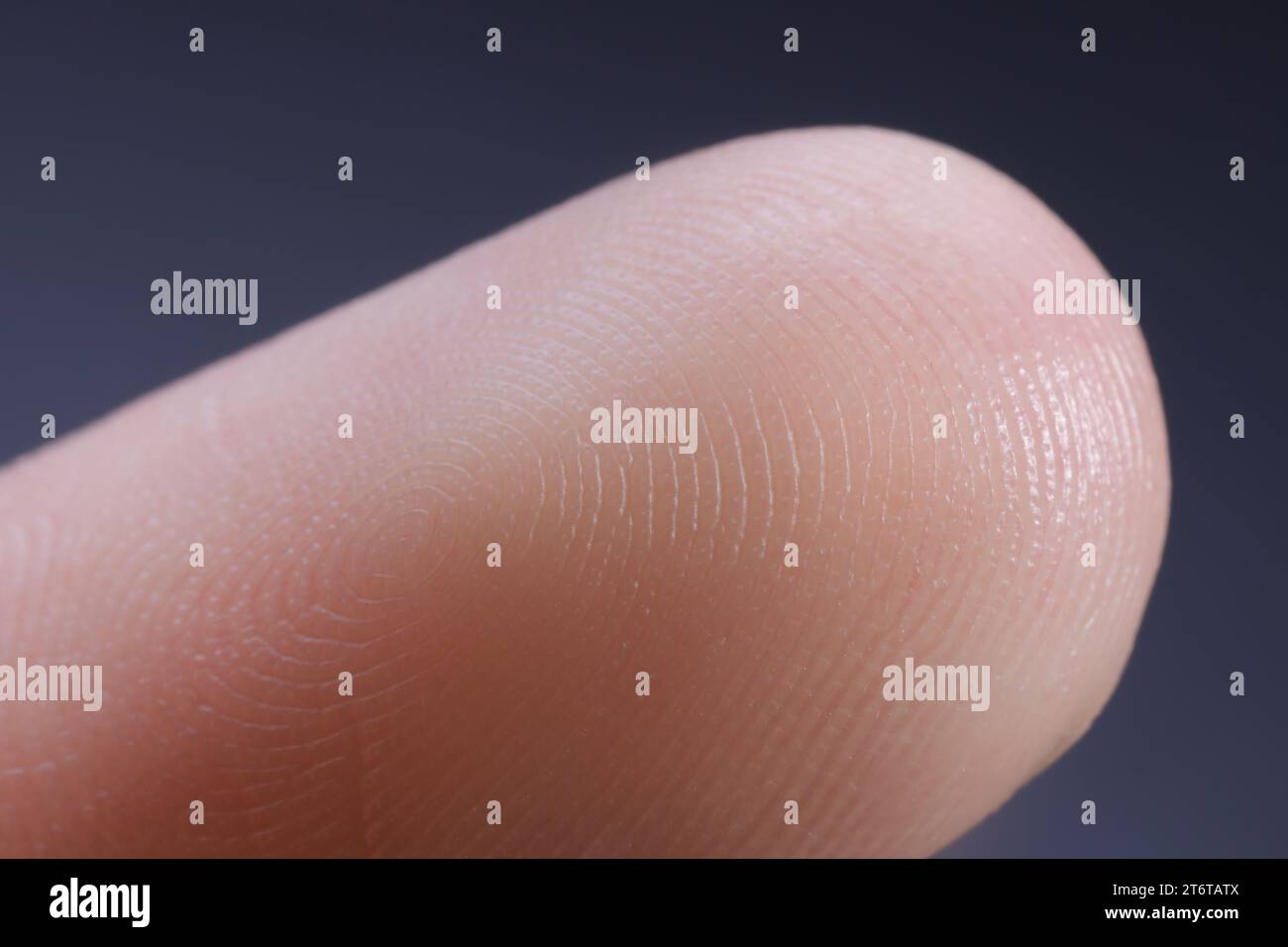 Finger with friction ridges on dark background, macro view Stock Photo ...
