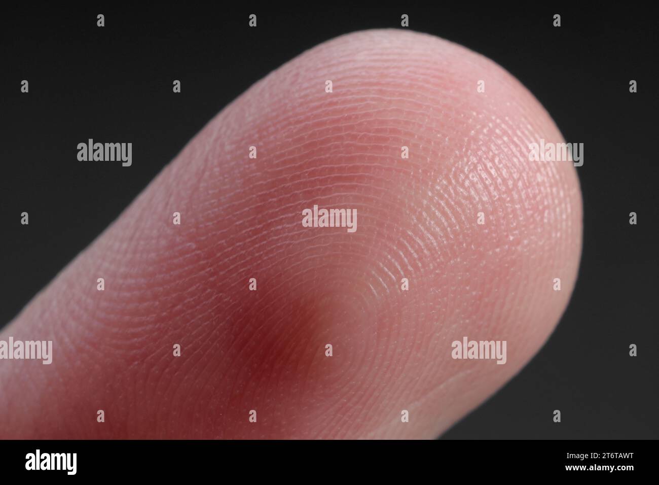 Finger with friction ridges on dark background, macro view Stock Photo ...