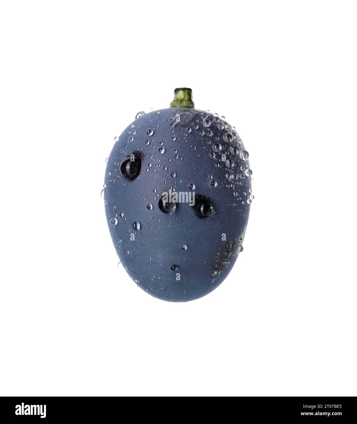 One ripe dark blue grape with water drops isolated on white Stock Photo ...