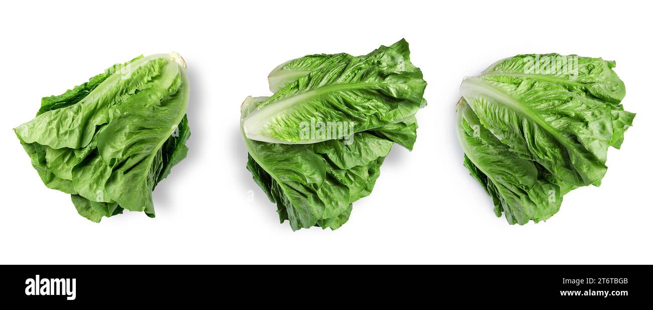 Top view head romaine hi-res stock photography and images - Alamy