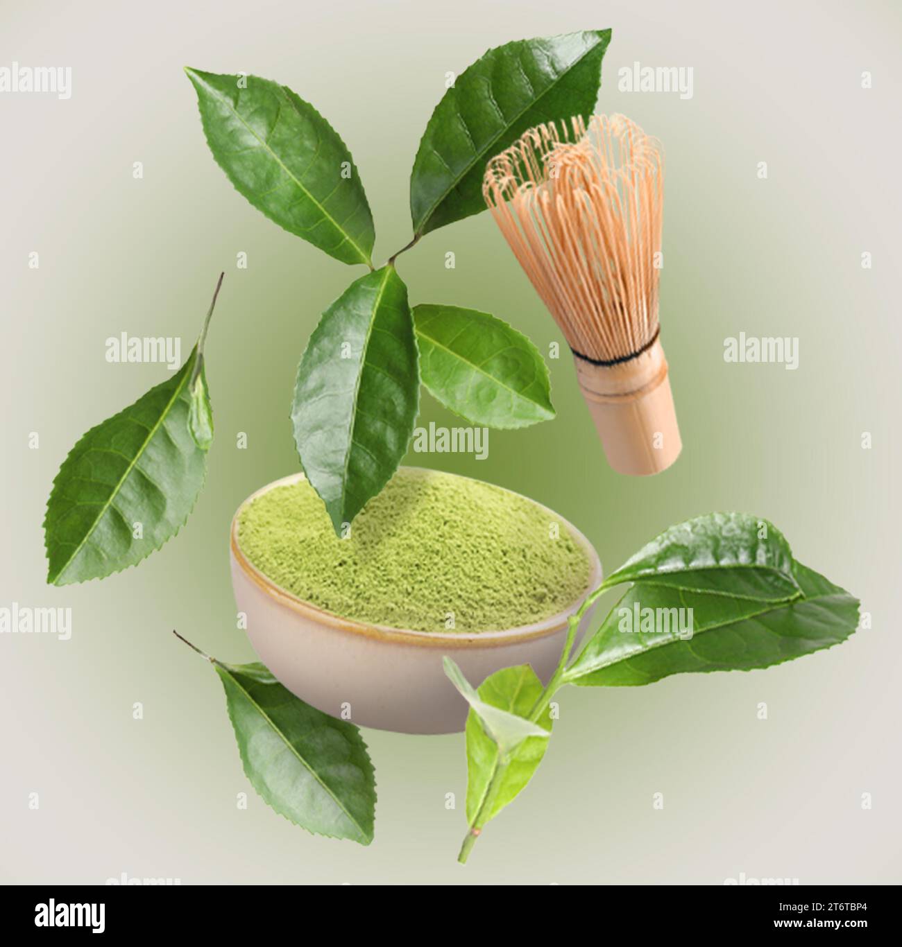 Green matcha powder in bowl, whisk and leaves falling on color ...