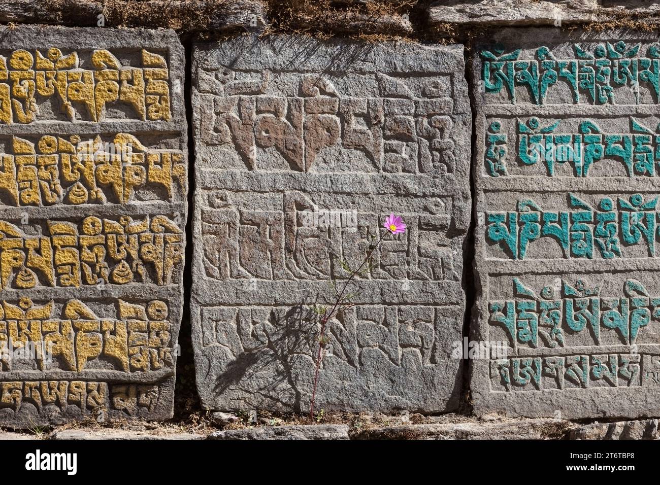 Traditional Buddhist mani stones with Buddhist mantra "Om Mani Padme ...