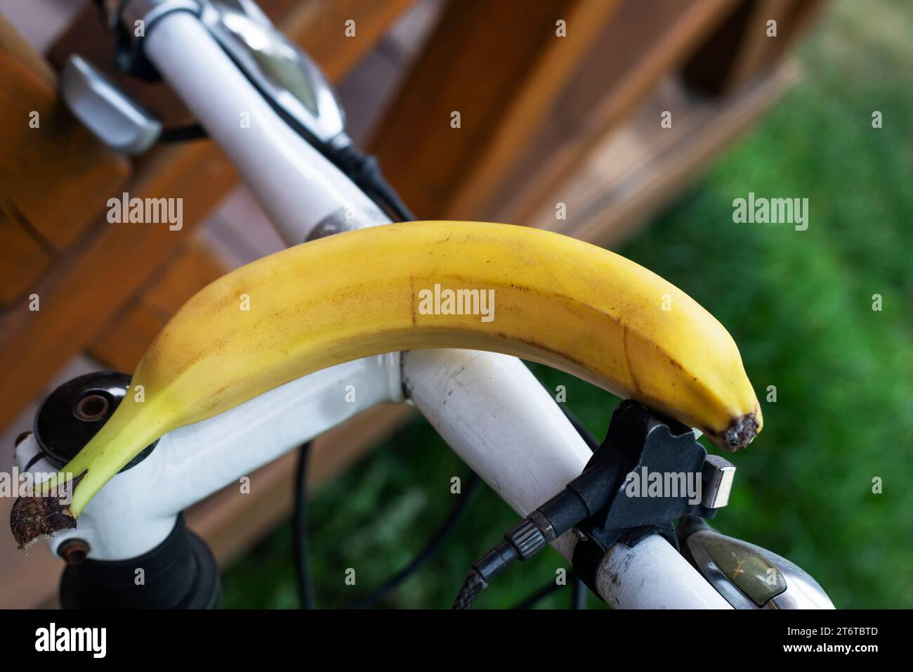 ripe yellow banana on the handlebars of a bicycle. Workout and proper ...