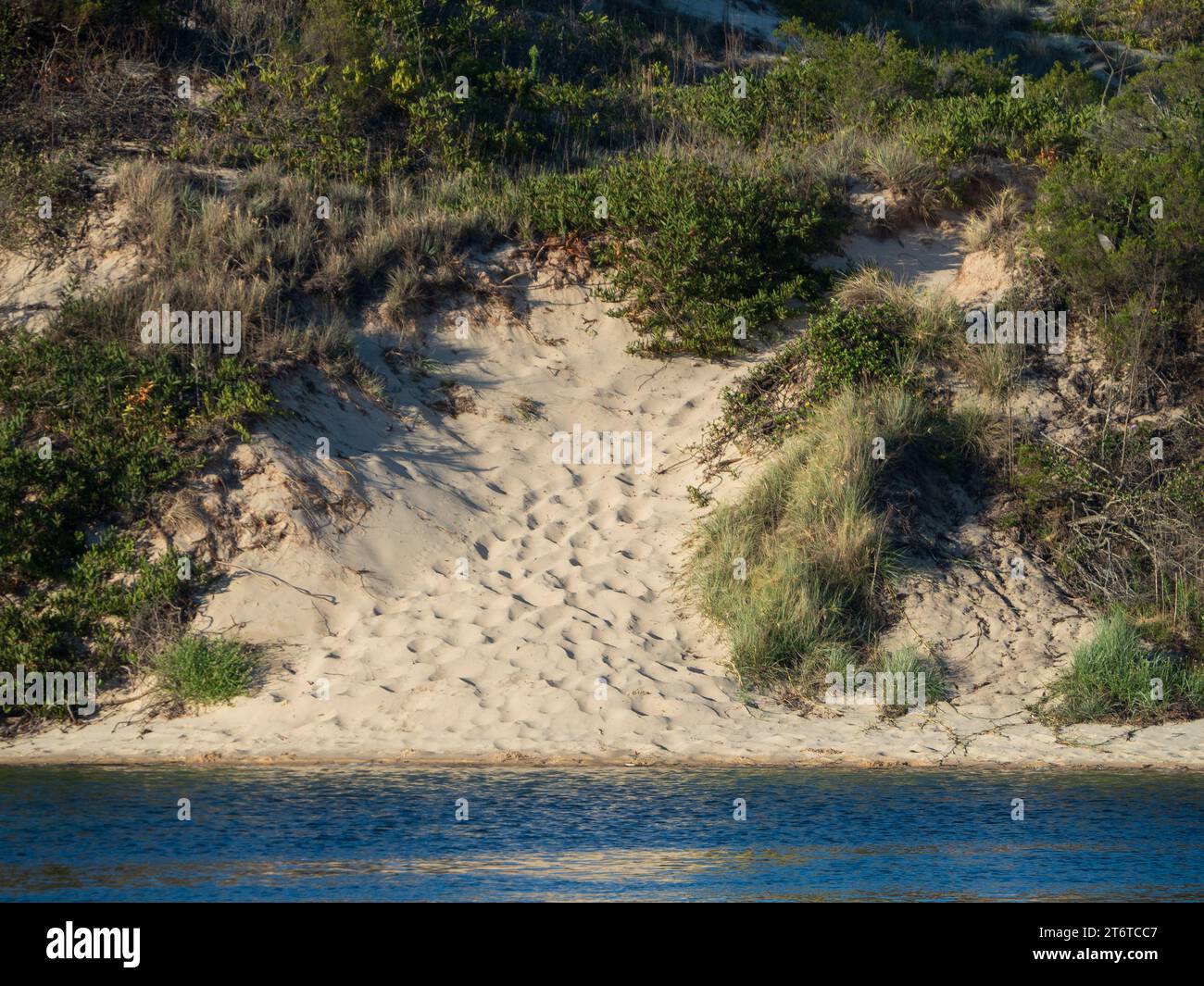 Footprints in the sand on a slope leading down to the water, ocean ...
