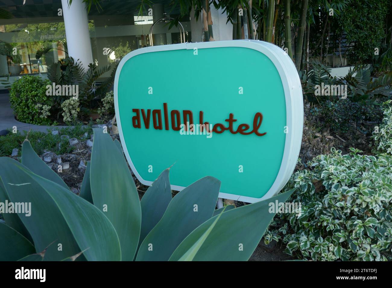 Beverly Hills, California, USA 11th November 2023 Avalon Hotel ...