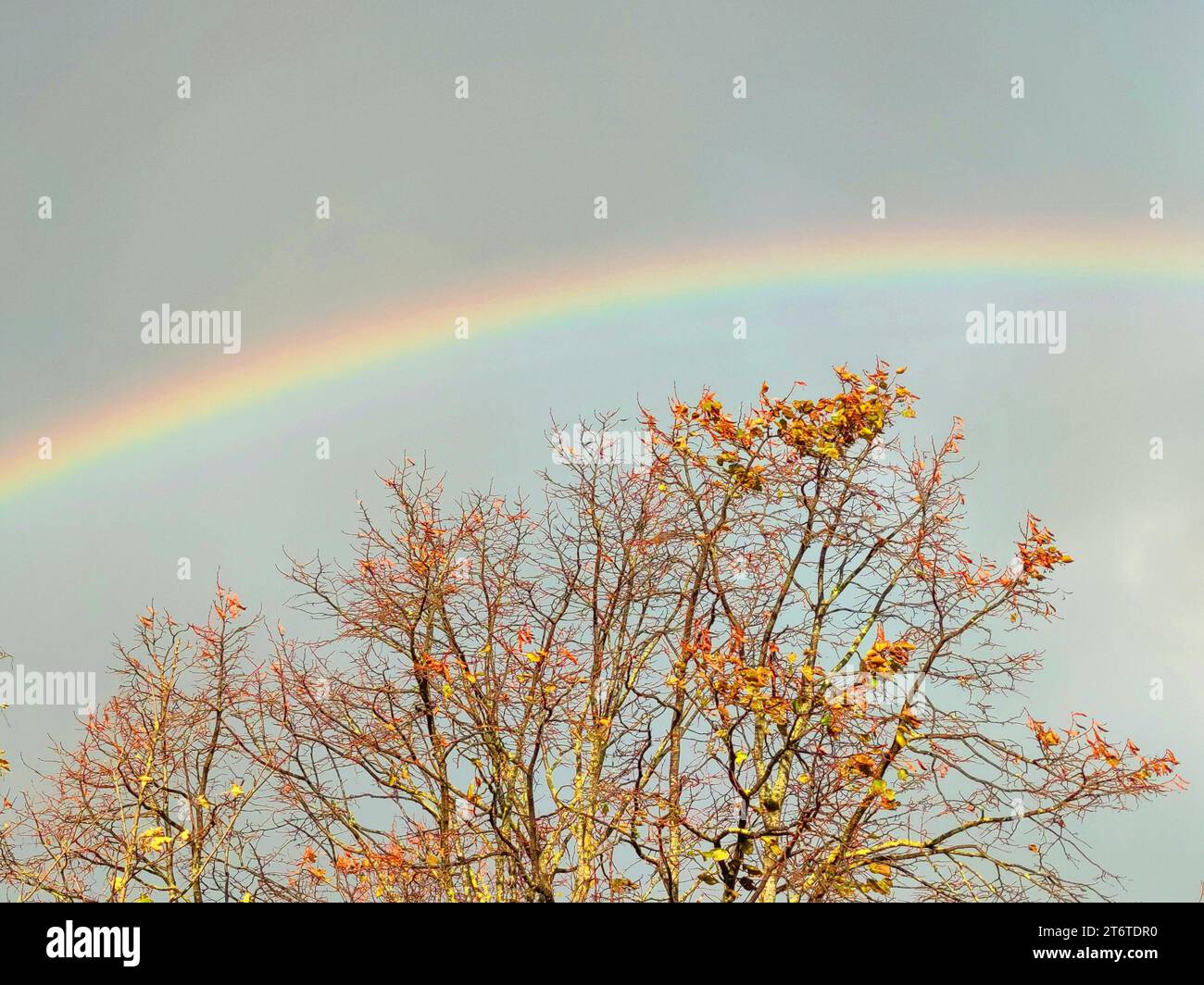 Rainbow over fall colors hi-res stock photography and images - Alamy