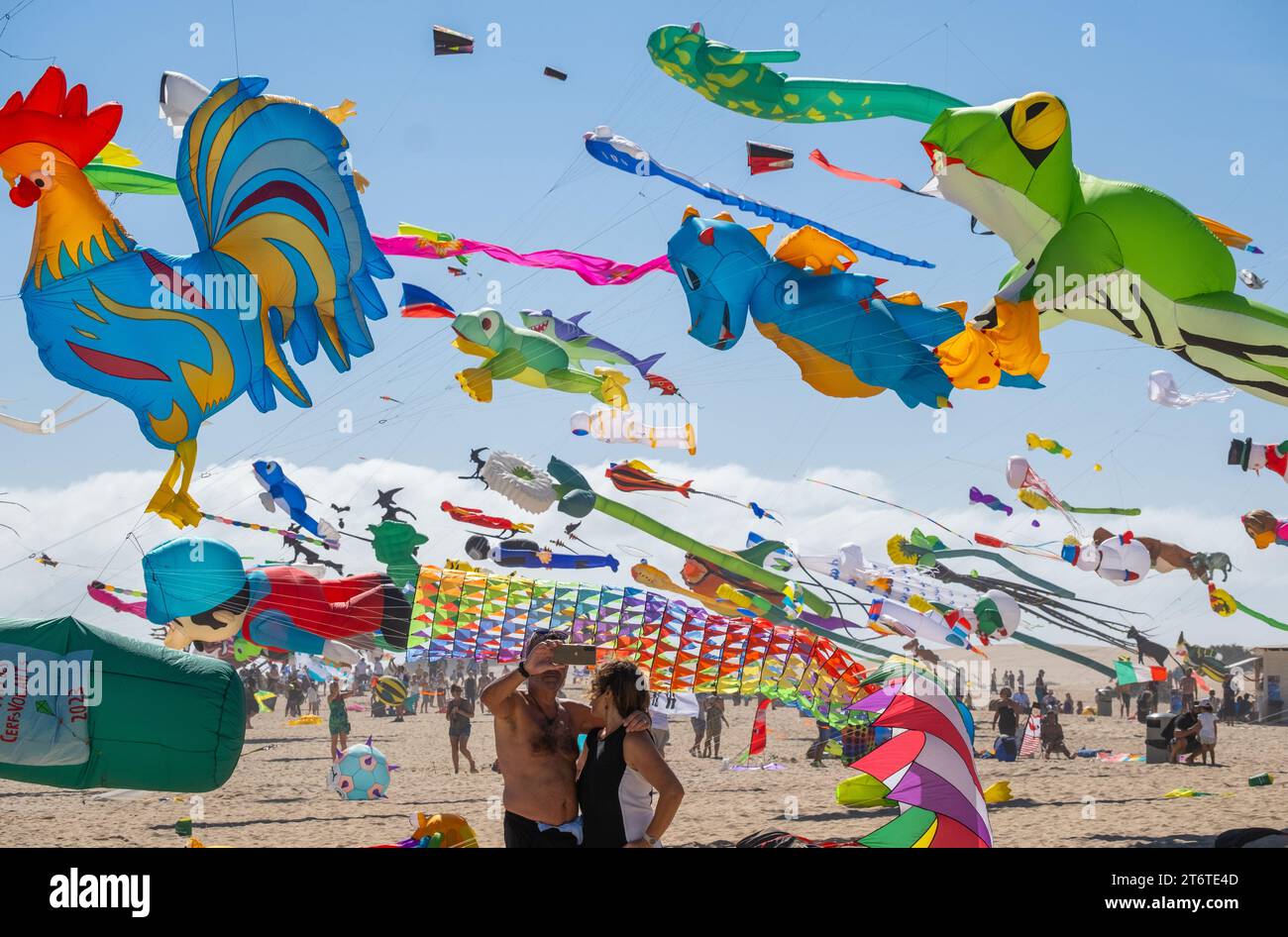 Fuerteventura, Canary Islands, Spain. 11th November, 2023. Kites flyers ...
