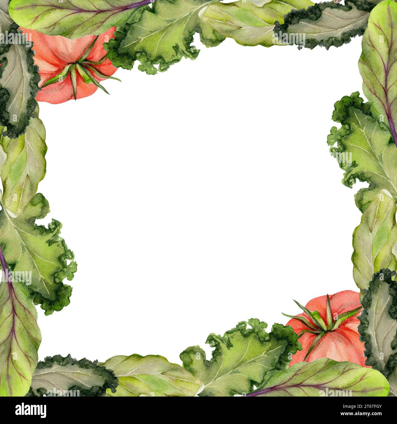 Hand drawn watercolor green salad spinach kale leaf tomato, diet ...