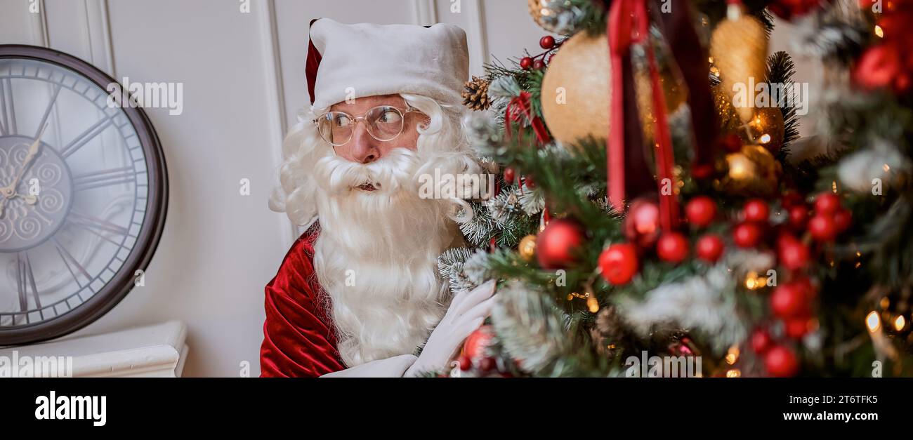 Santa Claus is hiding behind christmas tree to hide gifts. New year and ...