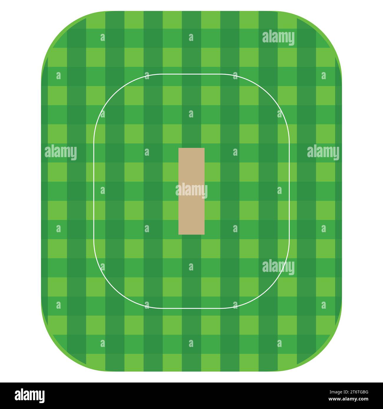 Top View Cricket Green Field Pitch Colorful Green background, Vector ...