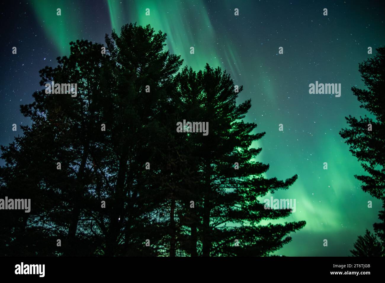 A breathtaking shot of the Northern Lights, featuring a mesmerizing ...