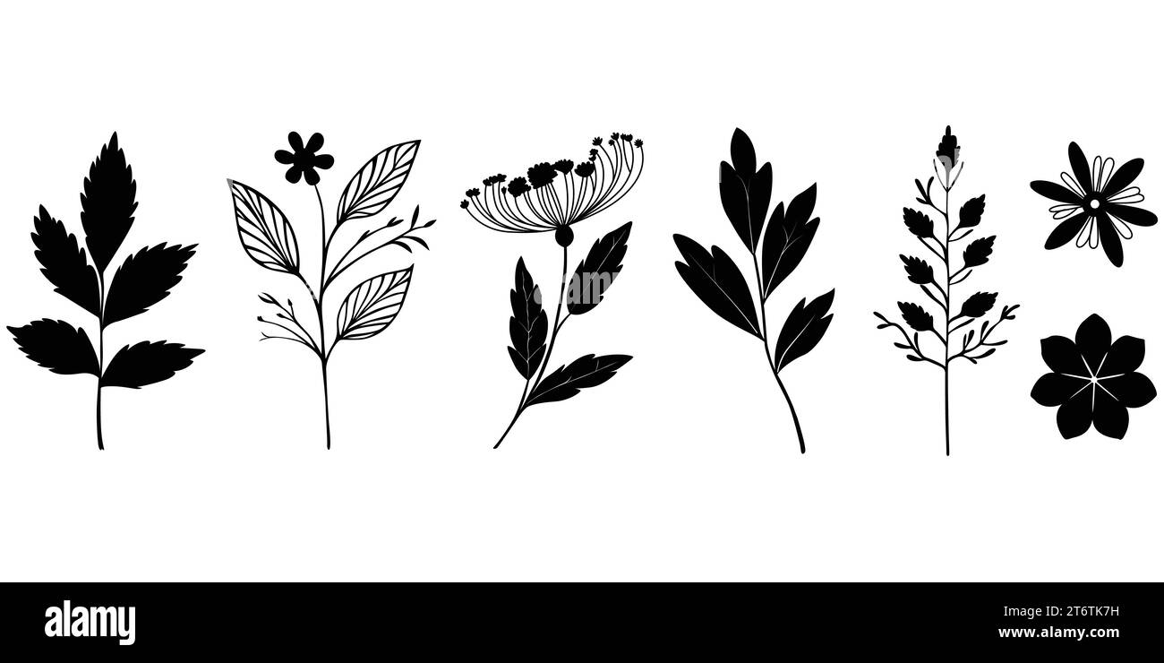 Vector hand drawn plants hi-res stock photography and images - Alamy