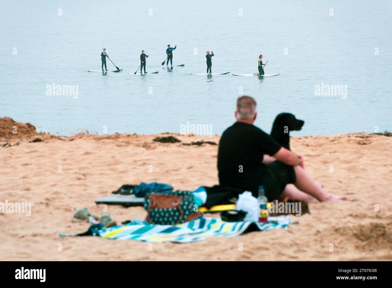 A man and his dog on the beach watch a group of paddleboarders go by in ...