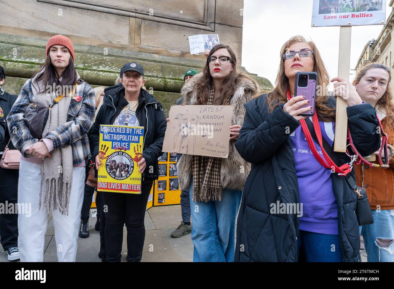 American bully breed dog hi-res stock photography and images - Alamy