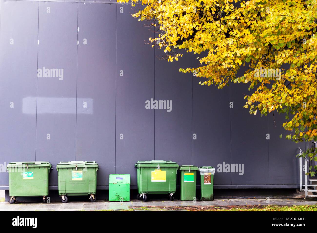 Green waste containers are placed against a gray wall and yellow tree ...