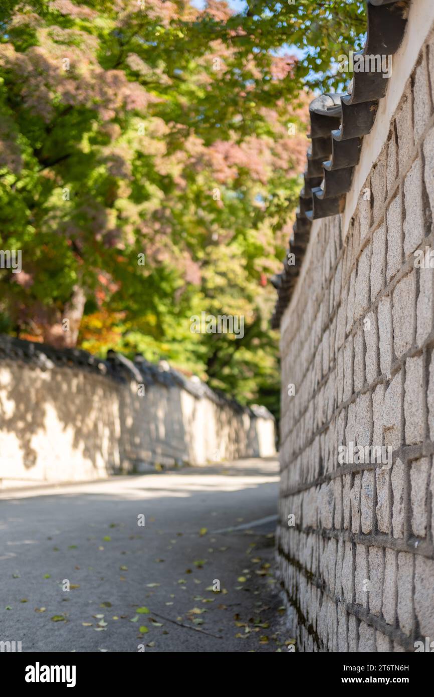 Korean traditional stone wall in Changdeokgung palace with beautiful ...