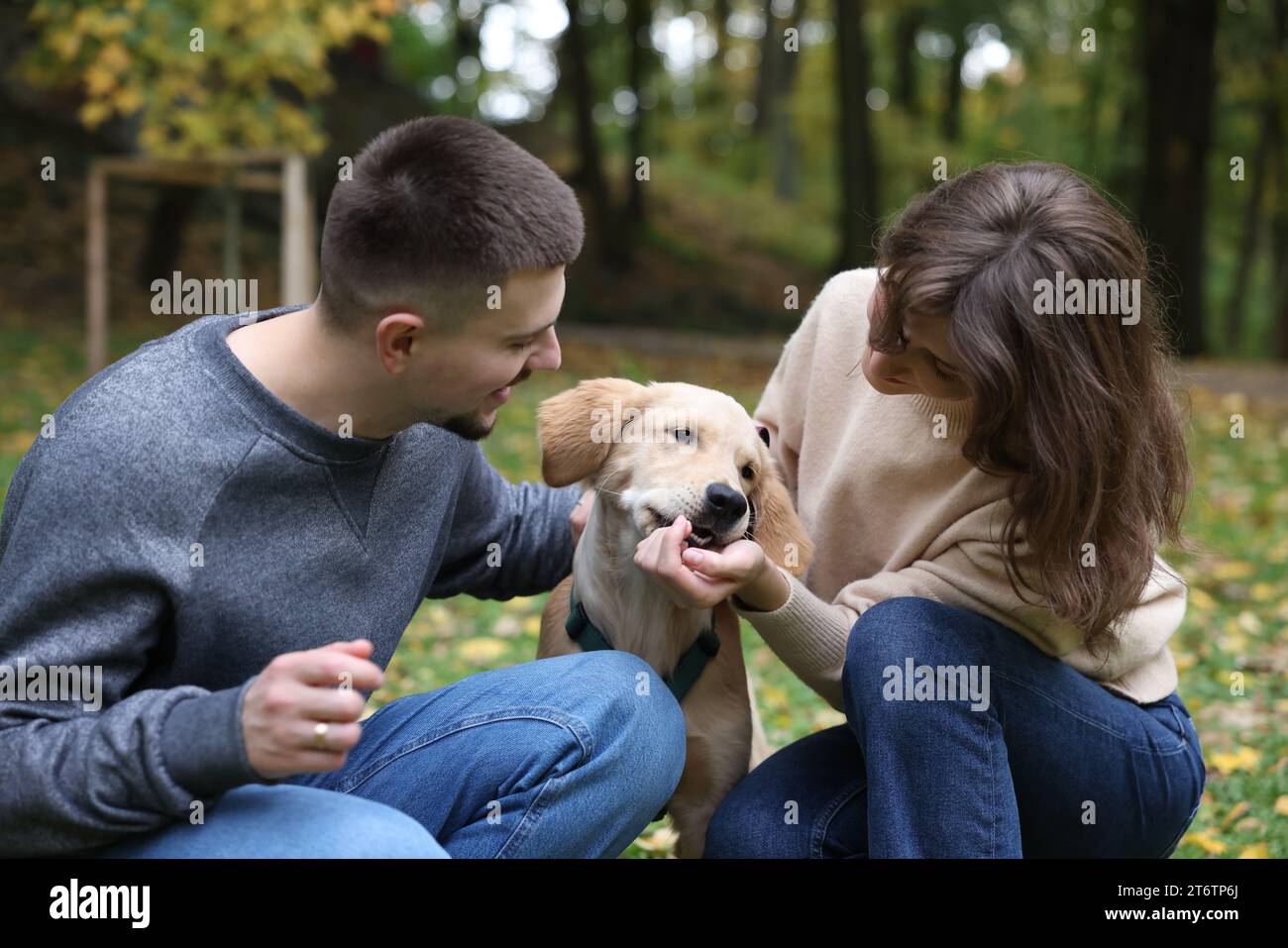 Couple spending time with adorable Labrador Retriever puppy outdoors ...