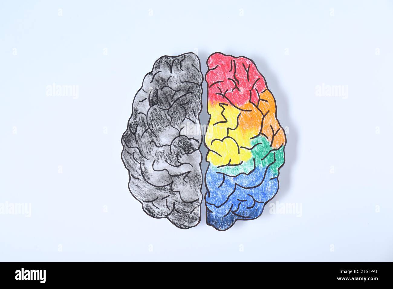 Logic and creativity. Paper brain with one colorful hemisphere and ...