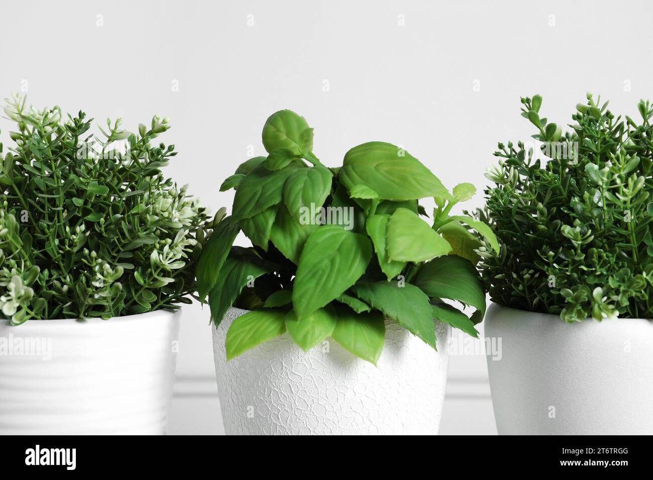 Different artificial potted herbs on white background, closeup Stock ...