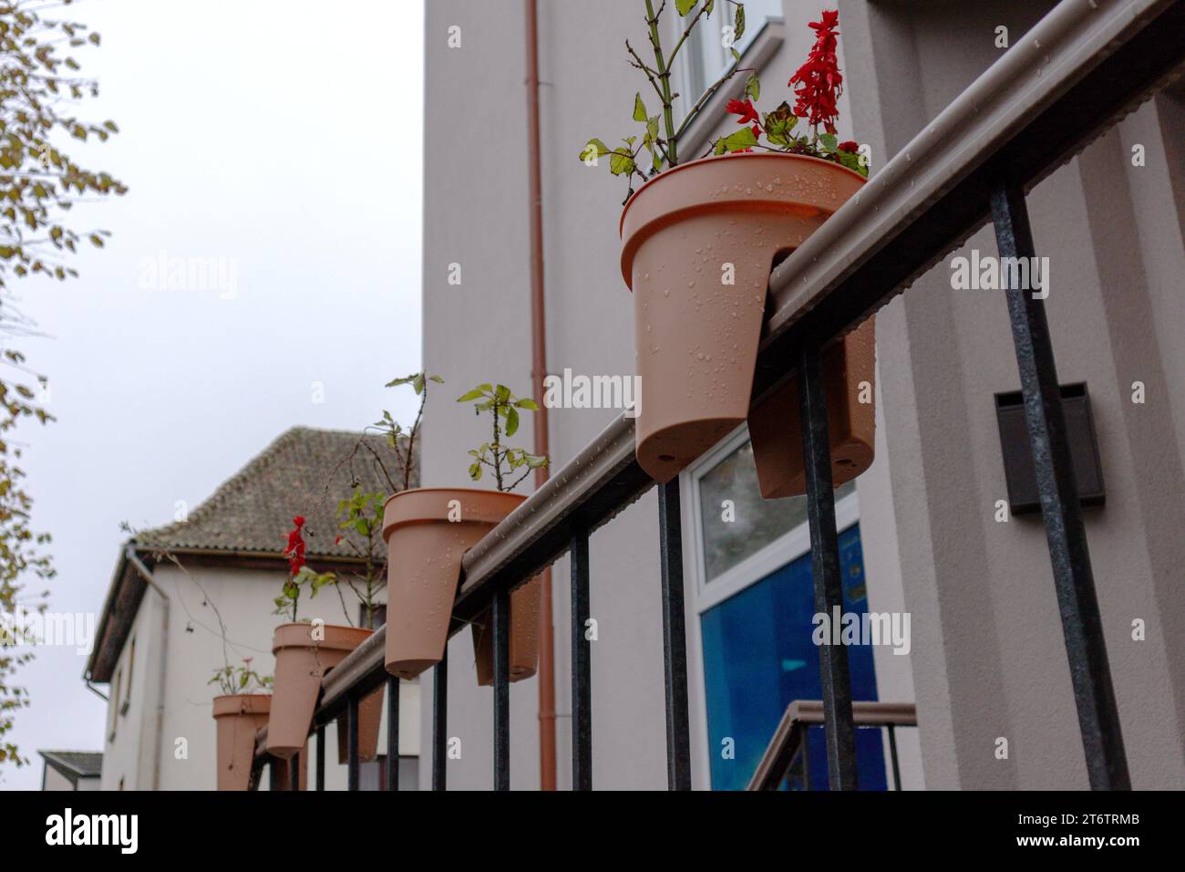 Plastic flower pots with cutouts are placed on the stair railing Stock ...