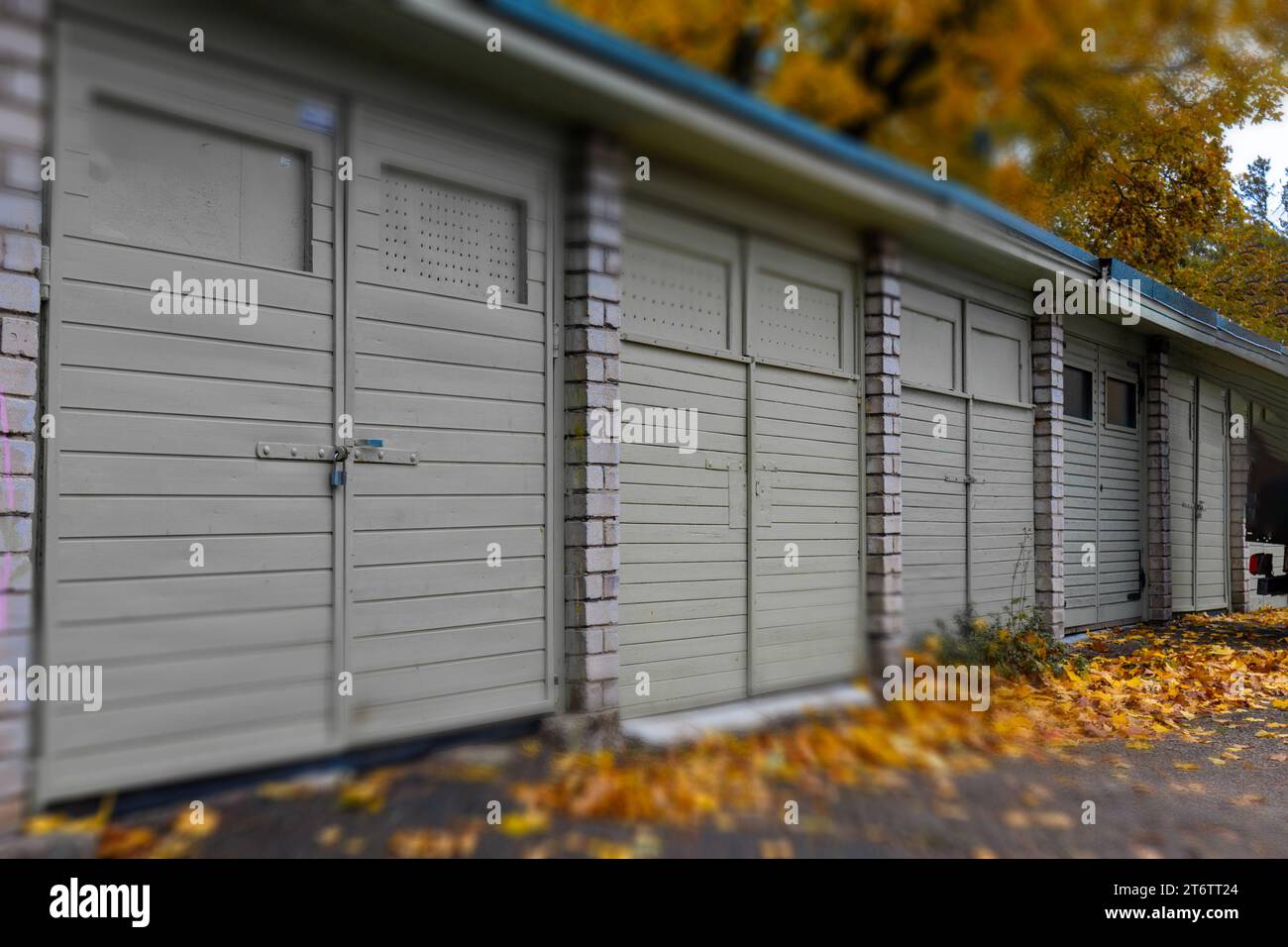 Car garage facade with wooden plank door and yellow leaves on the ...