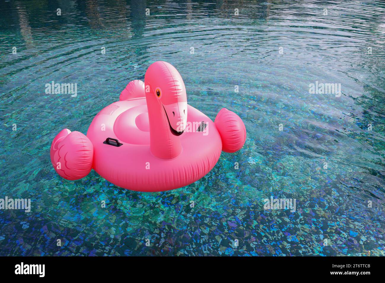 Summer season in pool flamingo hi-res stock photography and images - Alamy