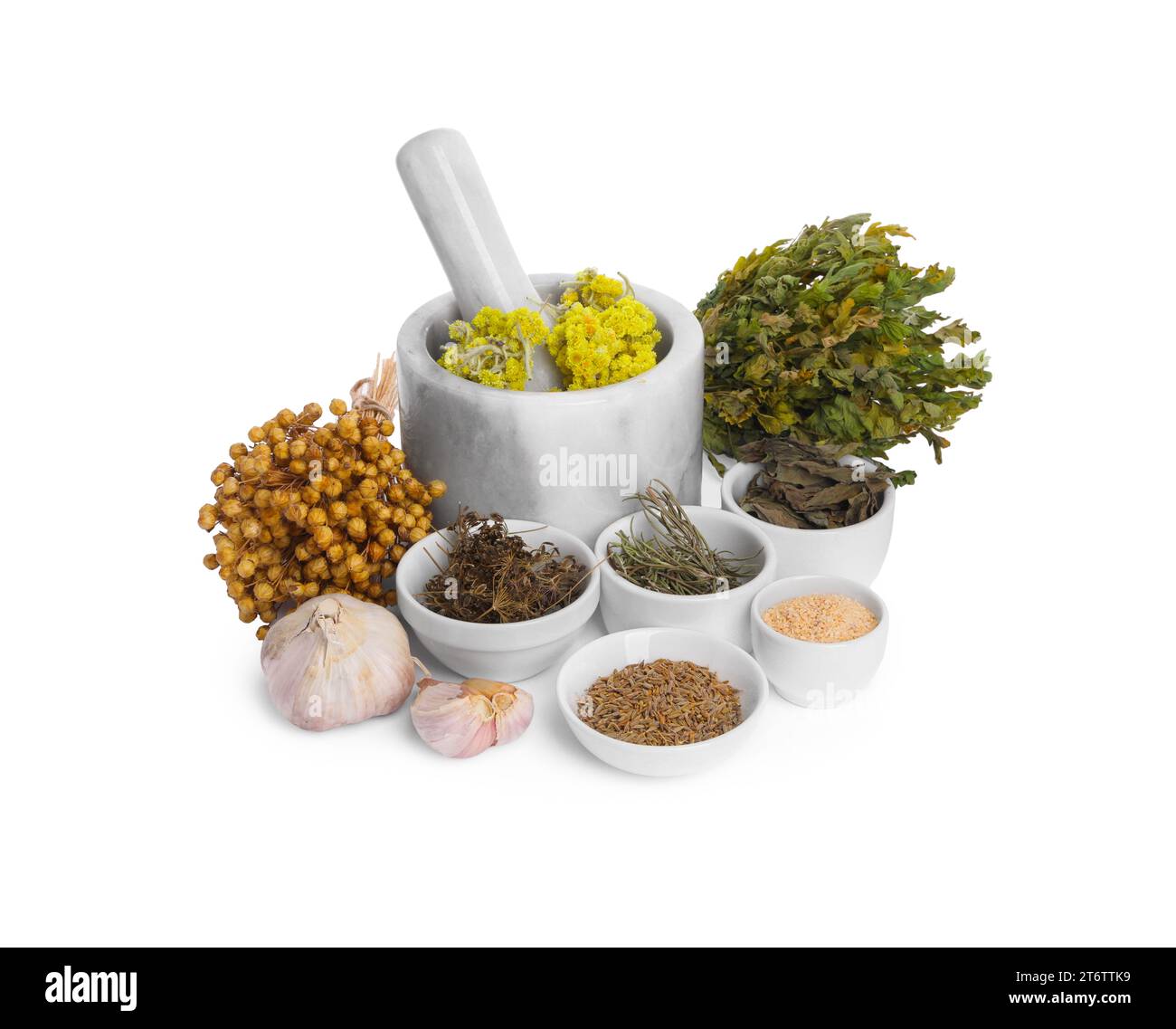 Mortar with pestle, many different dry herbs, flowers and garlic ...
