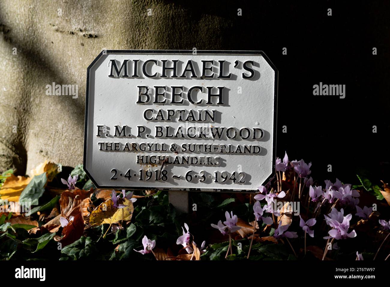 Michael`s Beech plaque, Holy Trinity churchyard, Stratford-upon-Avon ...