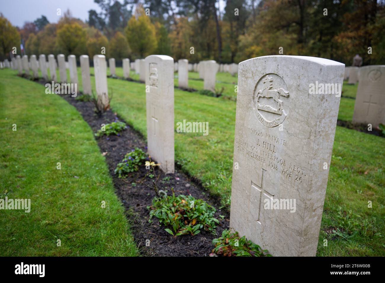 12 November 2023, Brandenburg, Stahnsdorf: War graves, taken on the ...