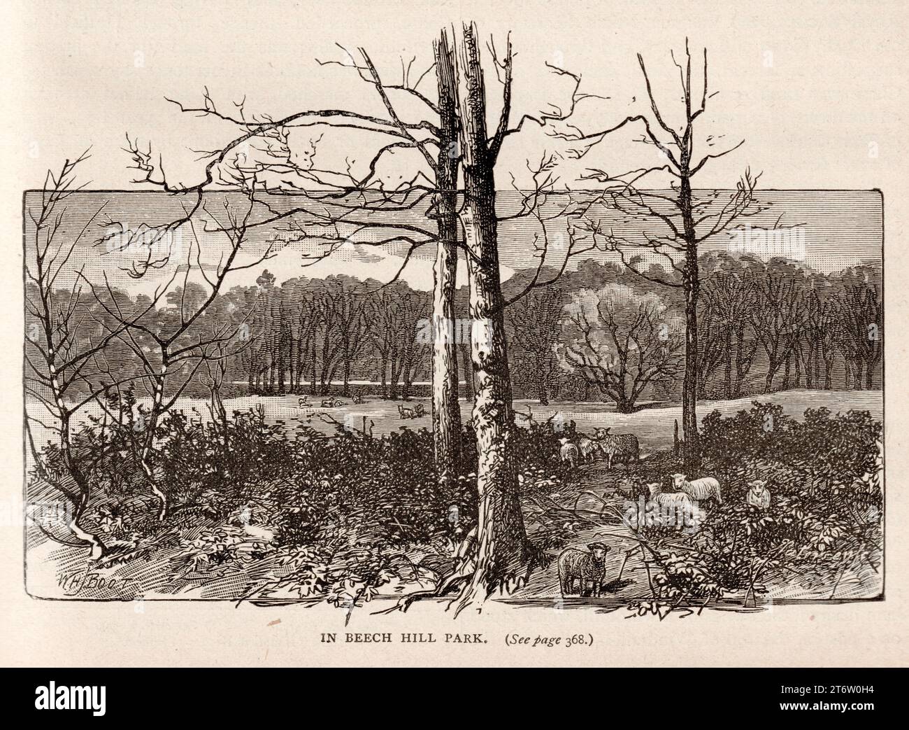 Engraving of Beech Hill Park in Hadley Wood from the book: “Greater ...