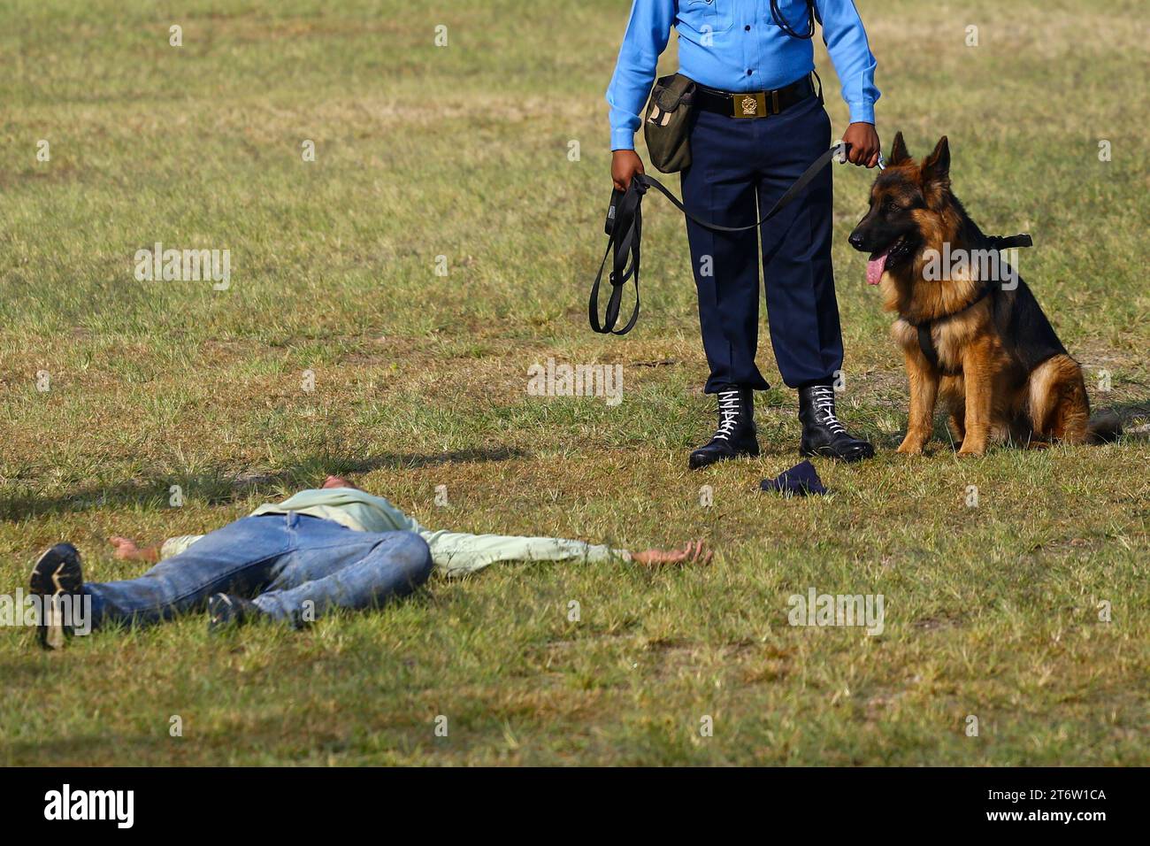 Kennel club of nepal hi-res stock photography and images - Alamy