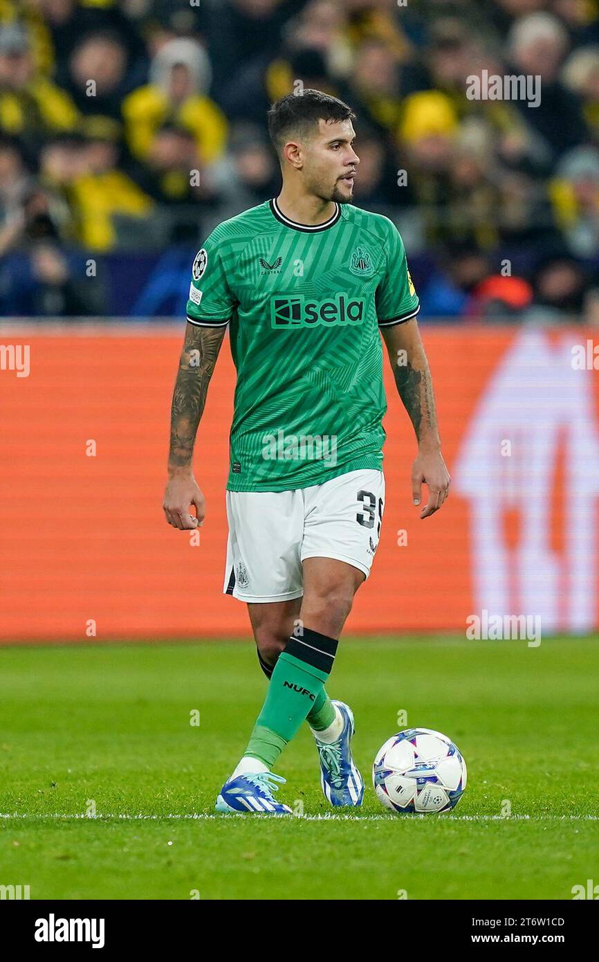 Sela cup hi-res stock photography and images - Alamy