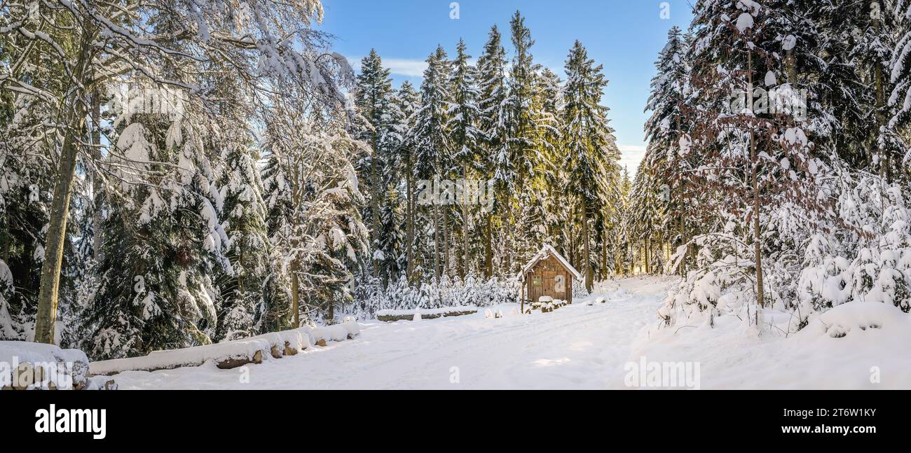 Winter Wonderland Surrounding a Cozy Log Cabin, Awash in the Gentle ...