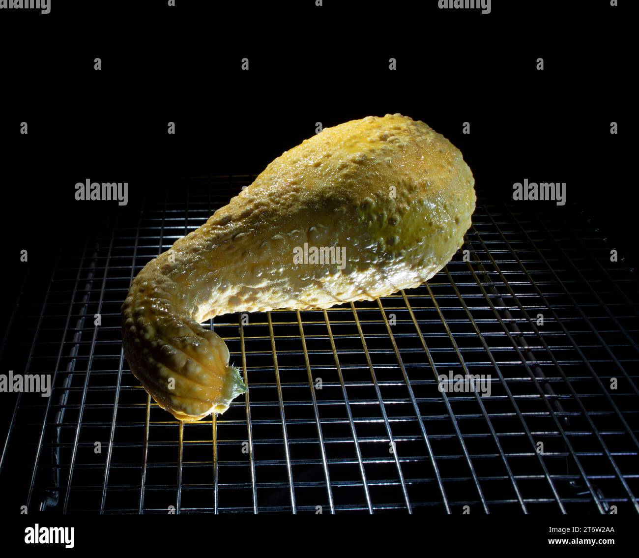 Underlit yellow squash on a metal shelf with dark background Stock ...